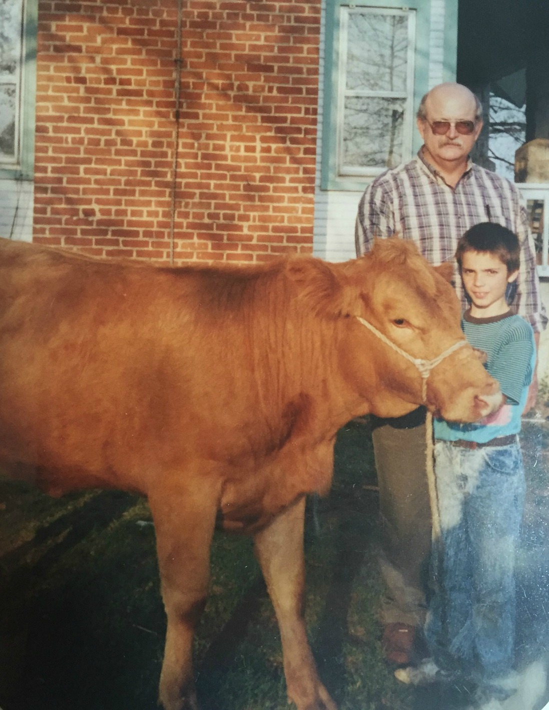 Farming in the Boy and the One Who Owns The Cattle - My Windowsill