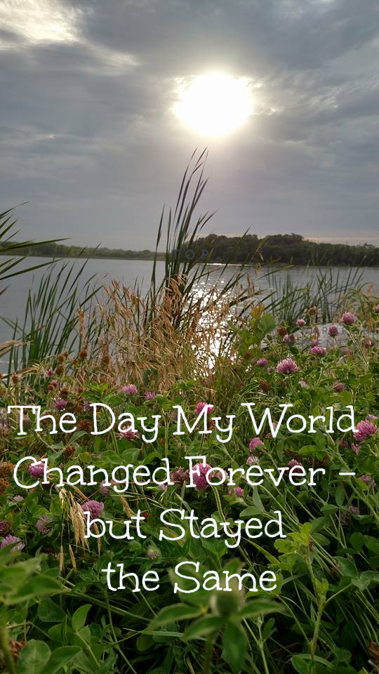 When My World Changed Forever - but Stayed the Same - My Windowsill