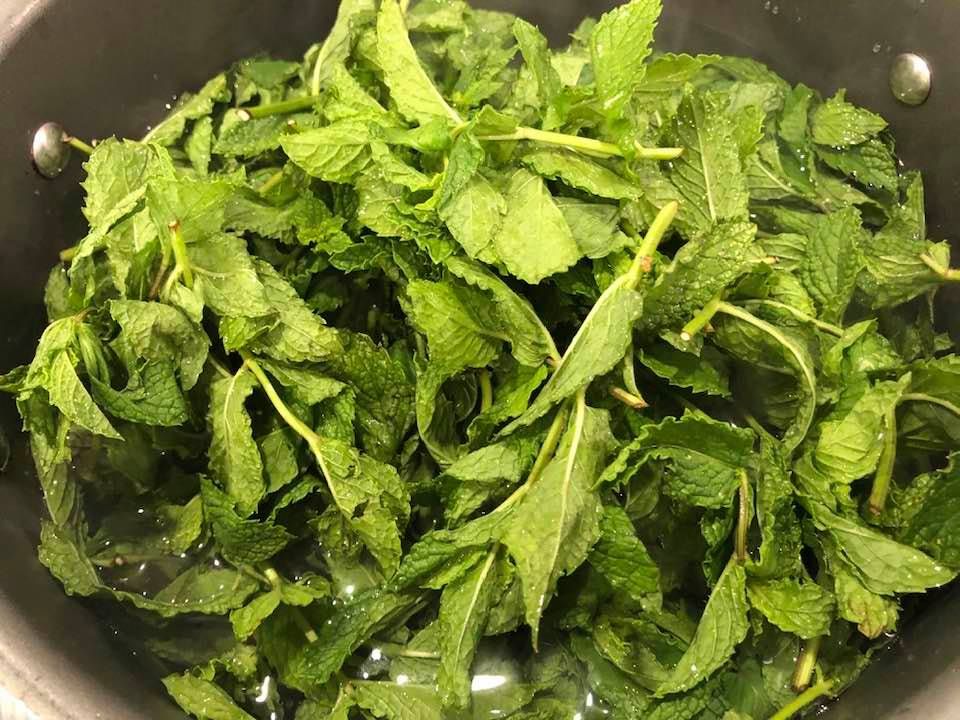 Fresh Garden Mint Tea - My Windowsill