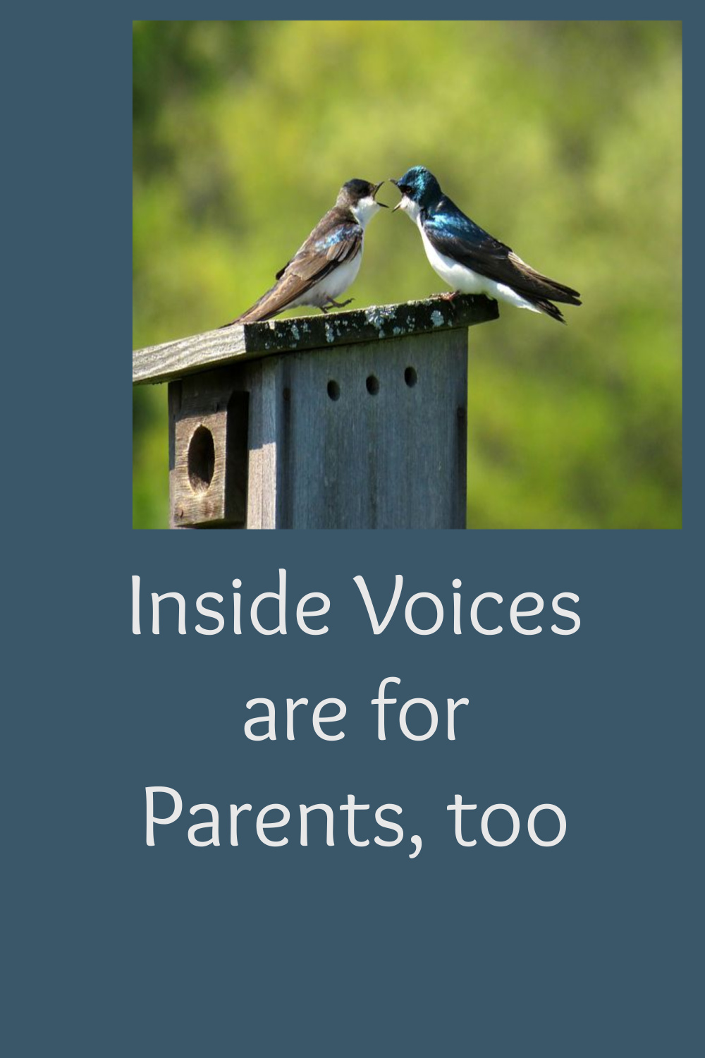 Inside Voices are for Parents, Too - My Windowsill