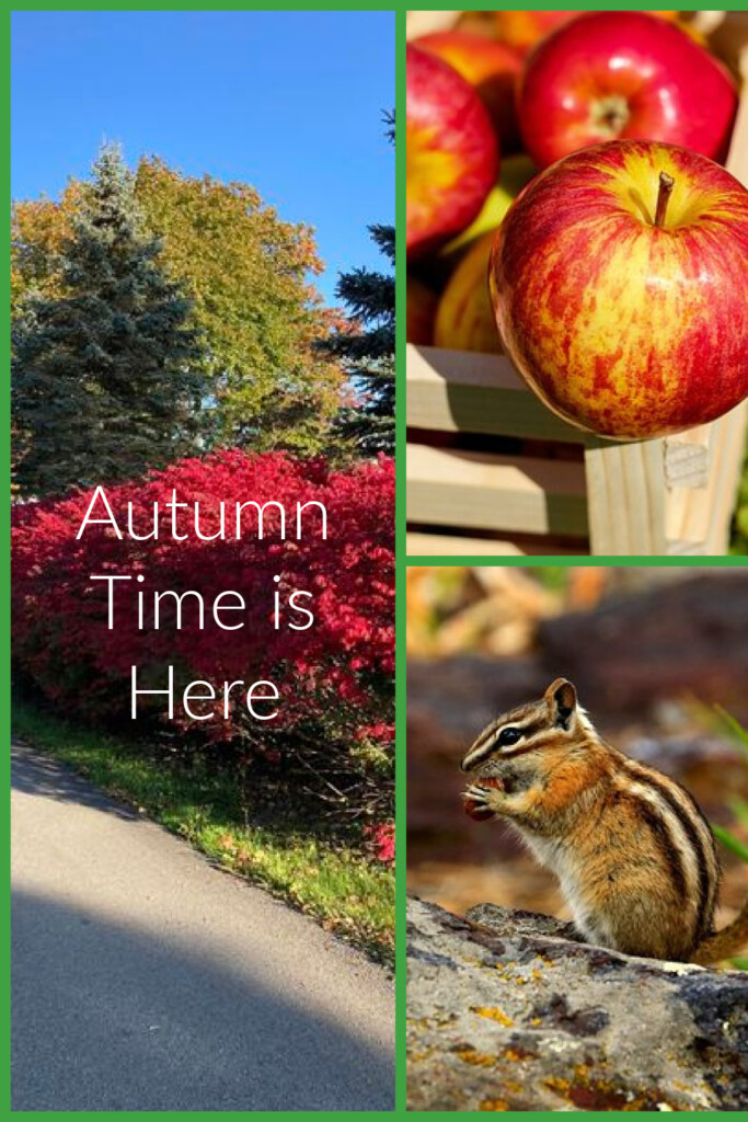 Autumn Time is Here - My Windowsill