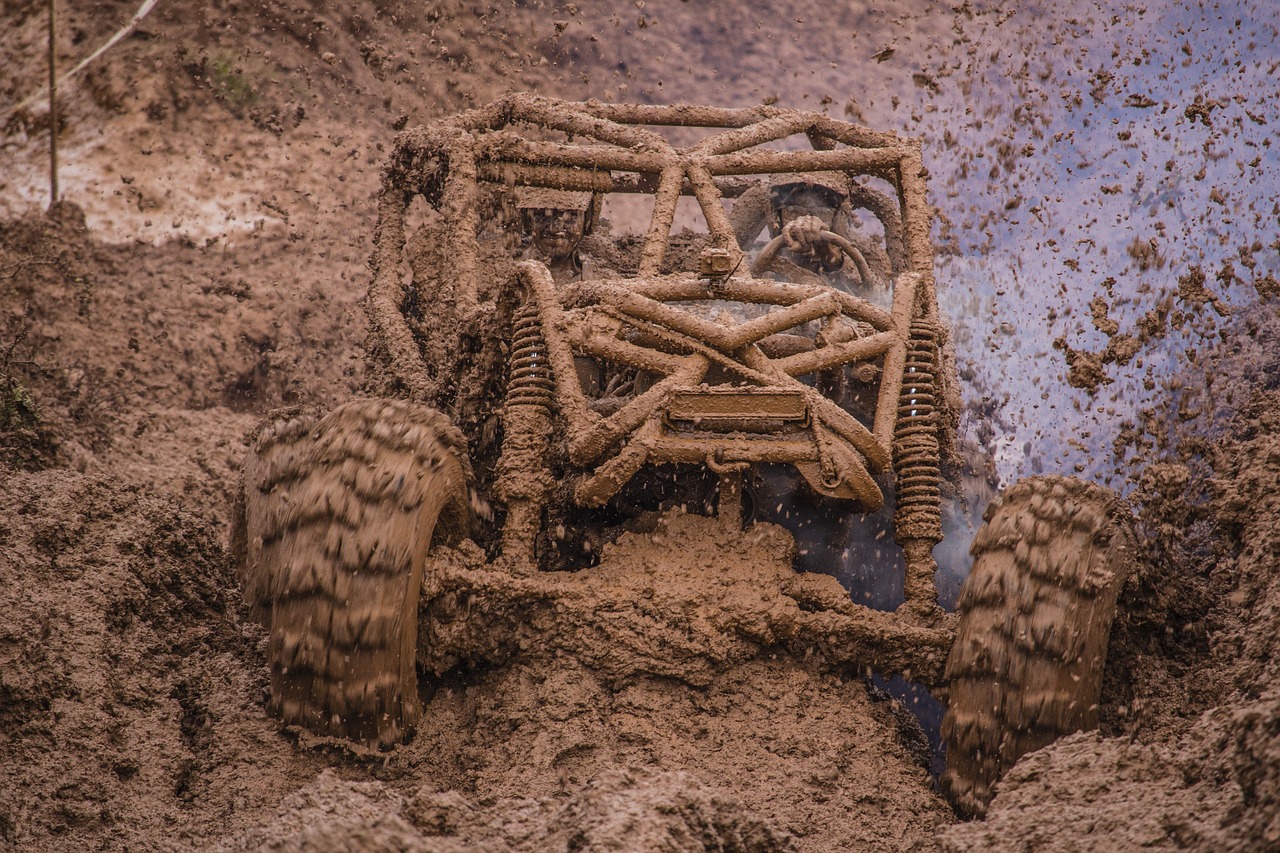 Out of Stuck in the Muck: Excusing versus Explaining - My Windowsill